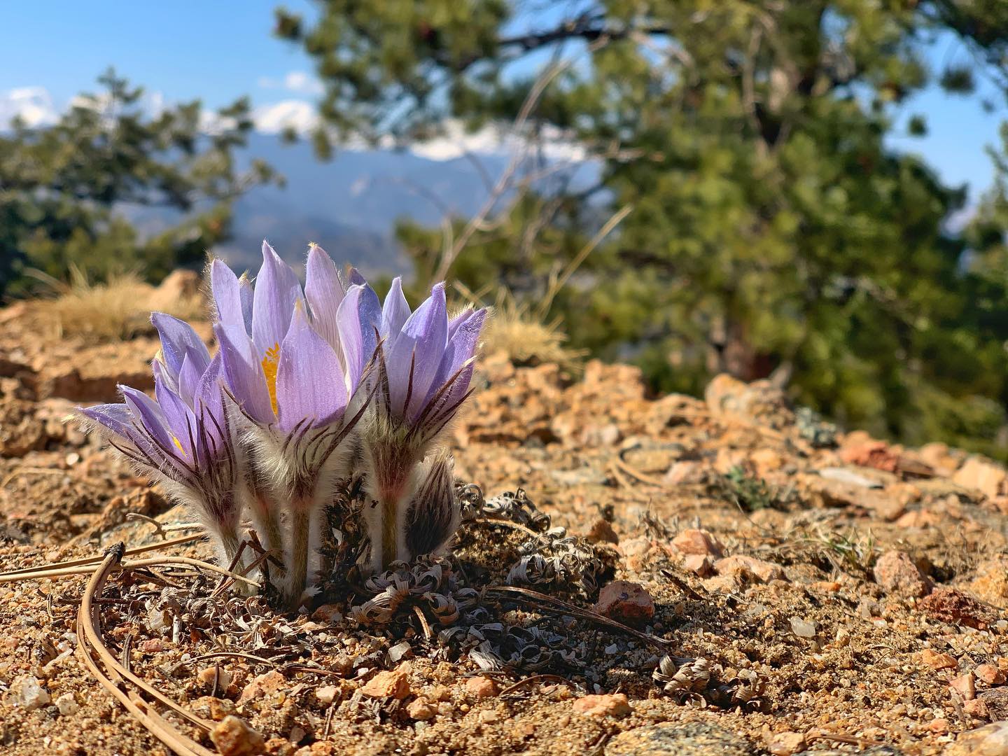 Spring Hiking in Estes Park - Castle Mountain Lodge - Estes Park, CO
